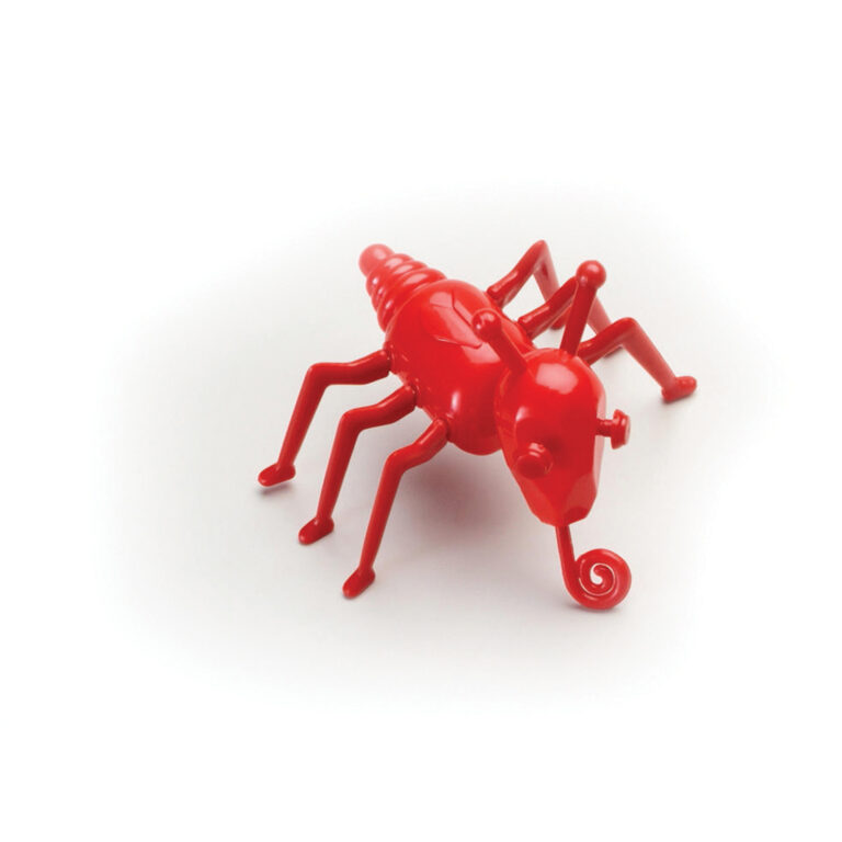 The Beetle Game – House of Marbles Australia