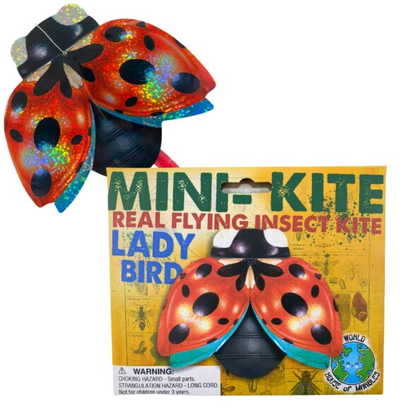 Mini Flying Insect Kites Counter Display – House of Marbles Australia