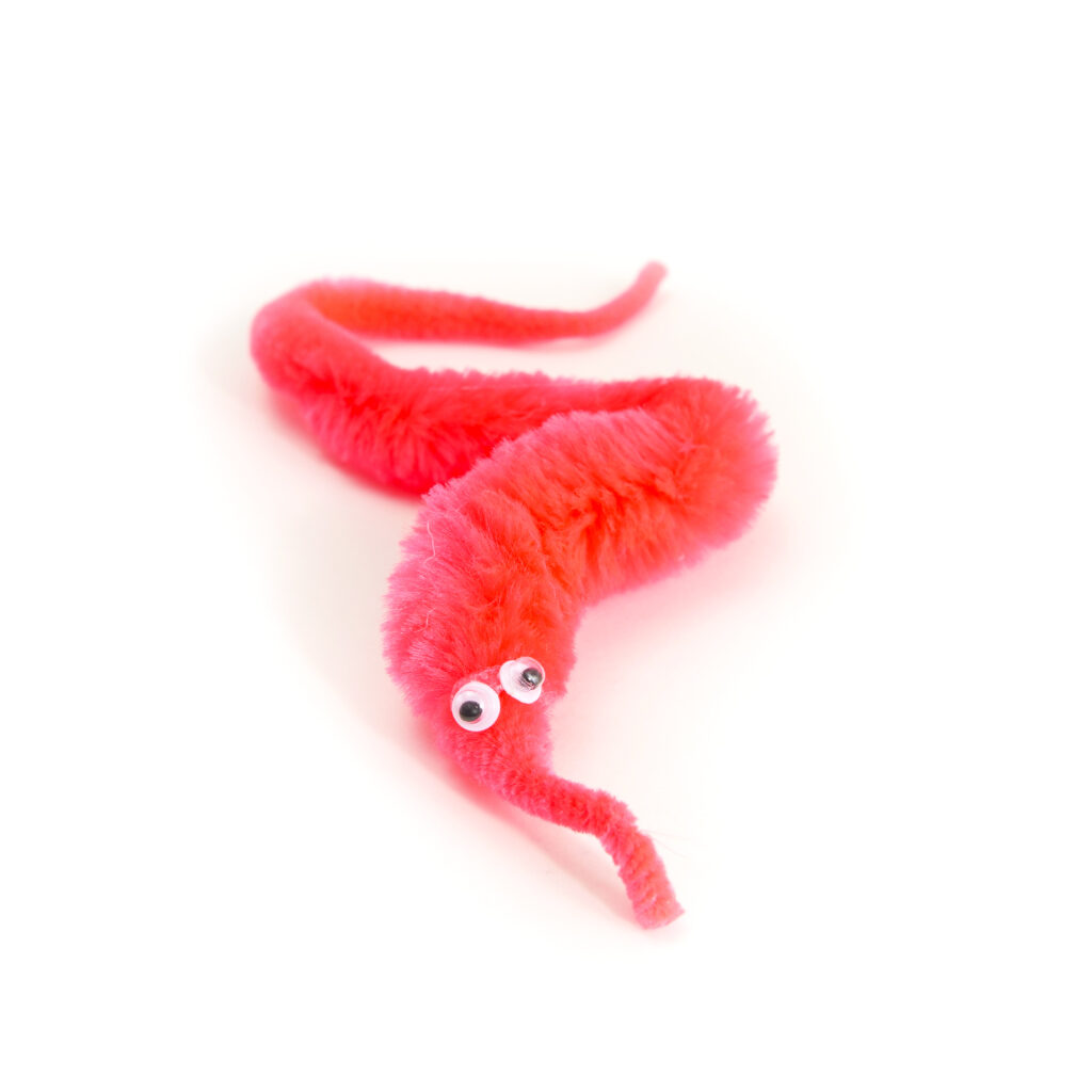 Wriggly Woolly Worms Counter Display – House of Marbles Australia